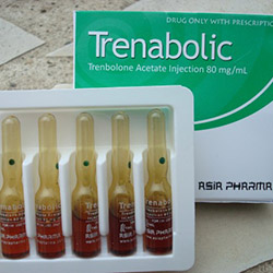Trenbolone - Steroids Profile - Steroidal.com