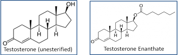 Testosterone Types and Variants