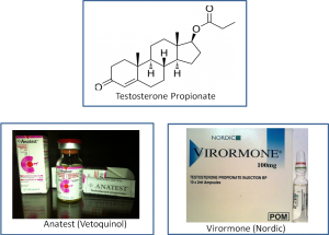Testosterone Types and Variants