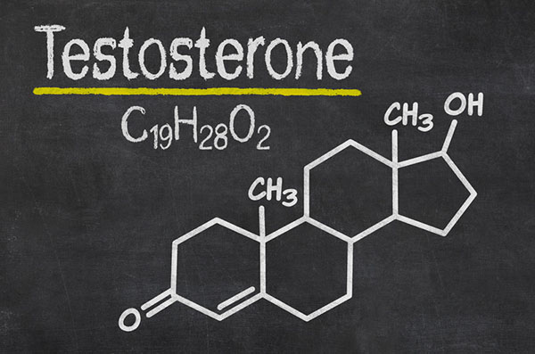 Testosterone in Every Steroid Cycle - Importance, TRT, Side Effects
