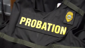 probation vest - Steroidal.com